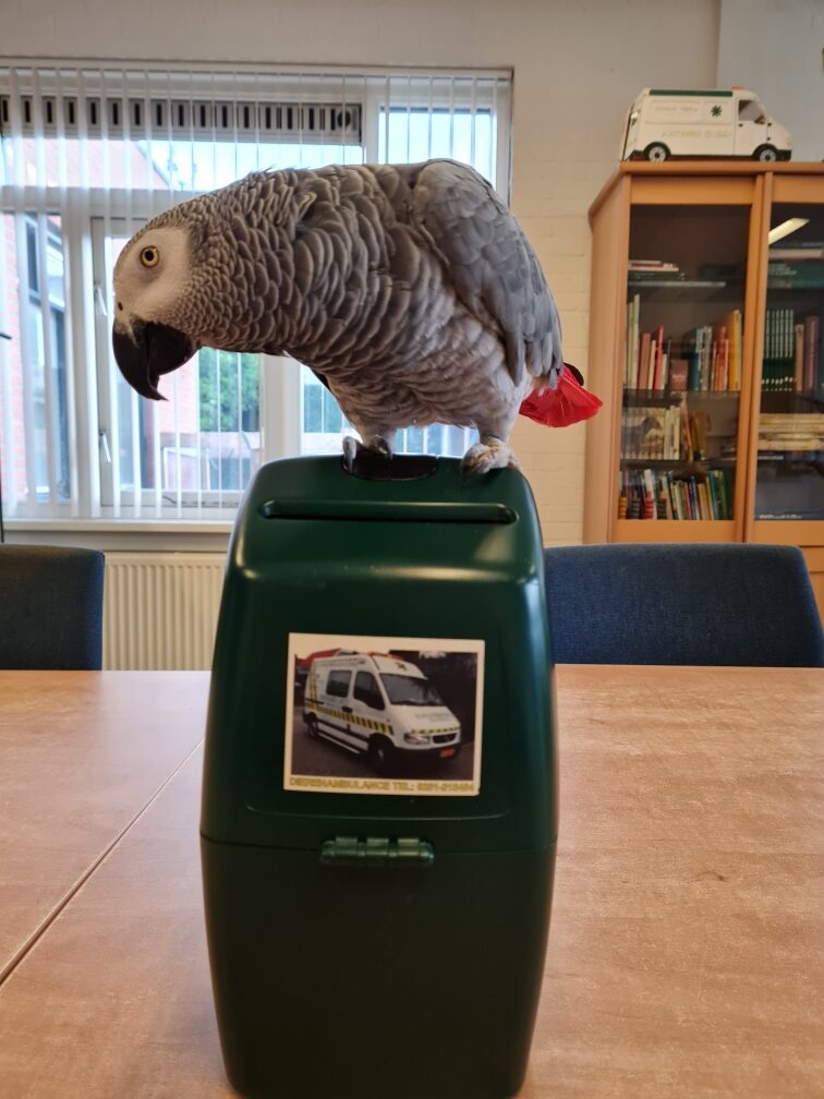 Nieuws: Een paar uurtjes van uw tijd en wij kunnen 24/7 aan de slag ...